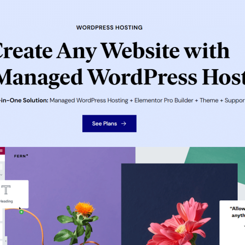 What Is Time-To-Live (TTL)? TTL Definition & Best Practices